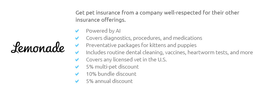 Pet Insurance With Pre Existing Conditions 🐾 Feb 2025